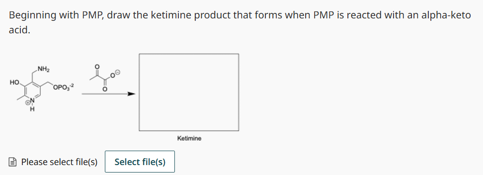 Solved Pyridoxamine phosphate (PMP) ﻿and pyridoxal phosphate | Chegg.com