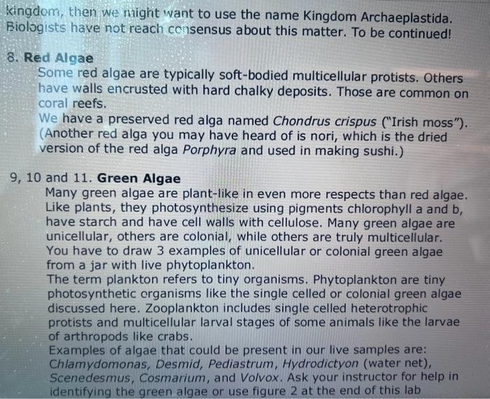 Solved Rhizarians are unicellular heterotrophic protists | Chegg.com