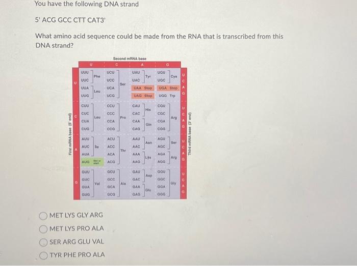 Solved You have the following DNA strand 5' ACG GCC CTT | Chegg.com