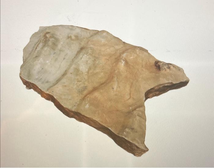 Solved Examine the sedimentary structure shown in this 3-D | Chegg.com