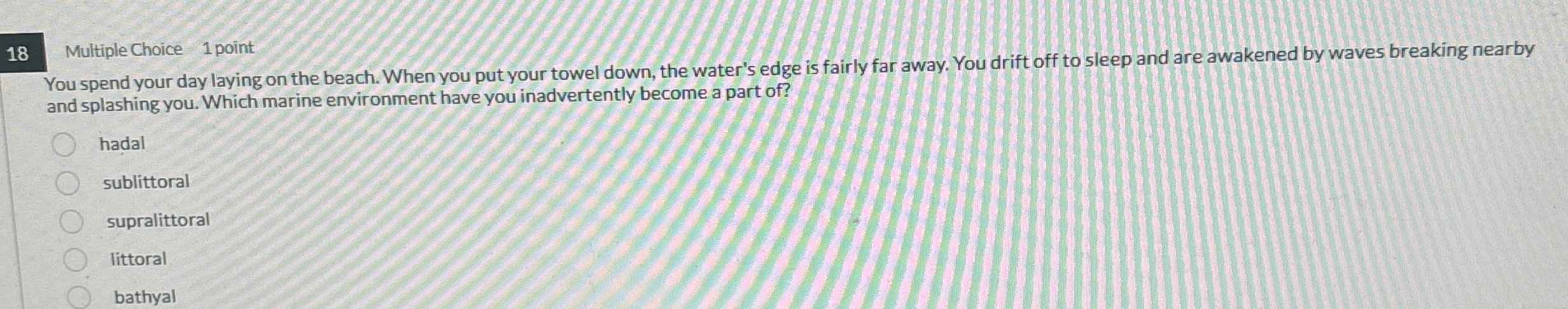 Solved 18Multiple Choice 1 ﻿pointYou spend your day laying | Chegg.com