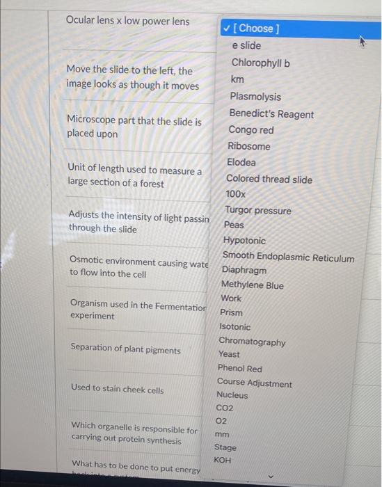 Solved Ocular lens x low power lensRibosome What has to be | Chegg.com