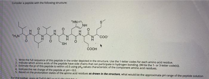 Solved Consider a peptide with the following structure: *HN | Chegg.com