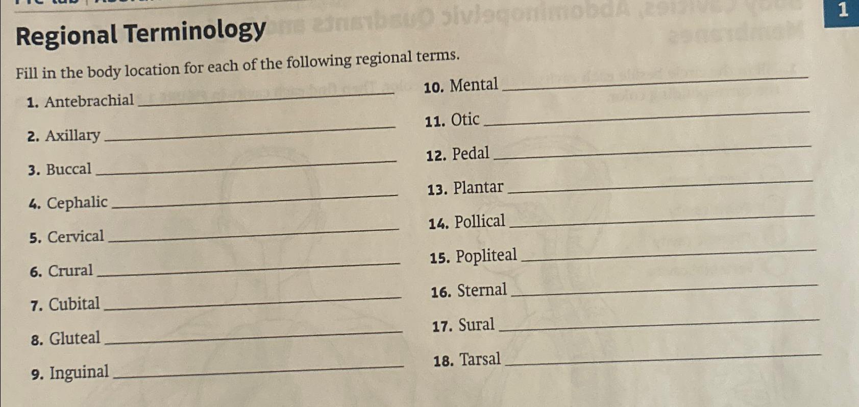 Solved Regional TerminologyFill in the body location for | Chegg.com