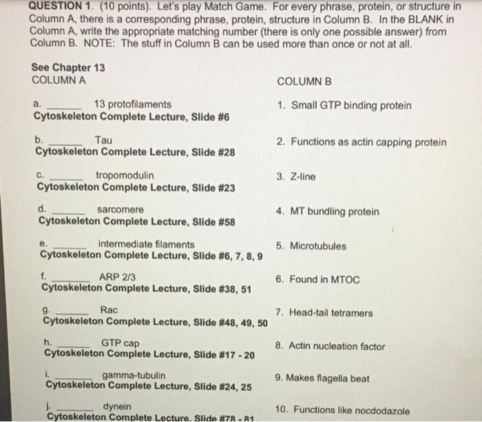 Solved QUESTION 3. (5 points −2.5 points each). a. Striated | Chegg.com Solved QUESTION 3. (5 points −2.5 points each). a. Striated | Chegg.com
