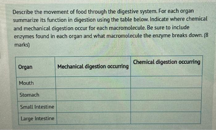 Solved Describe the movement of food through the digestive | Chegg.com