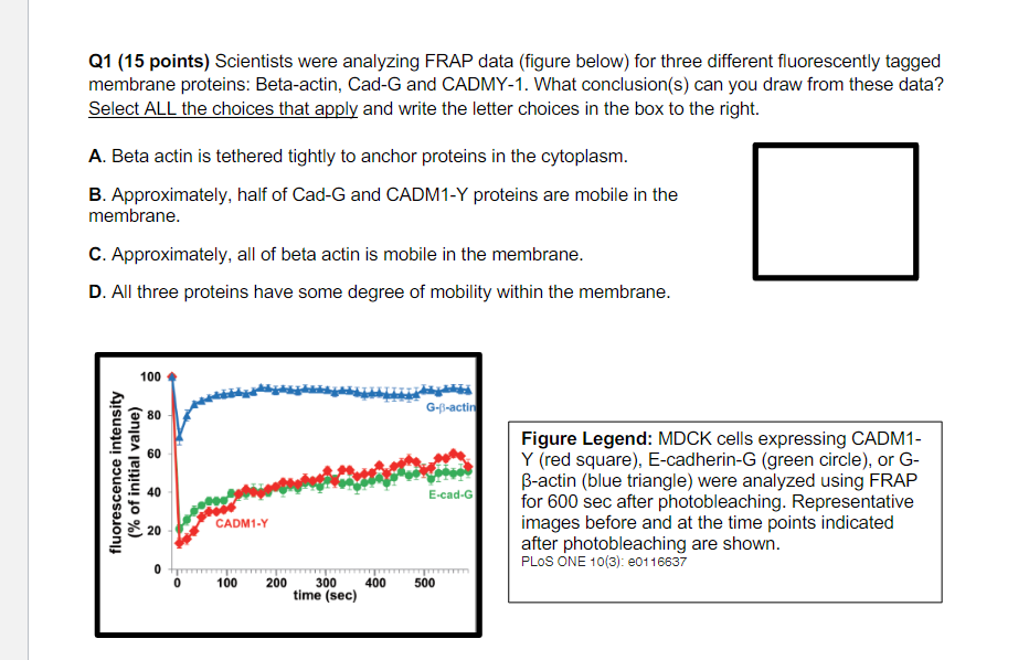 Solved Q1 (15 ﻿points) ﻿Scientists were analyzing FRAP data | Chegg.com