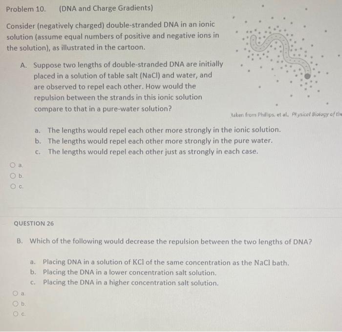 Solved Problem 10. (DNA and Charge Gradients) Consider | Chegg.com