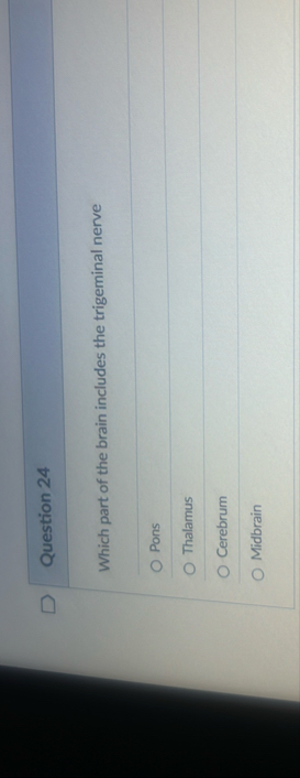 Solved Question 24Which part of the brain includes the | Chegg.com