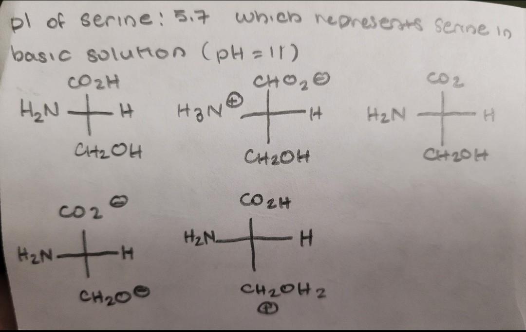 Solved pl of serine: 5.7 which nepresents serine in basic | Chegg.com