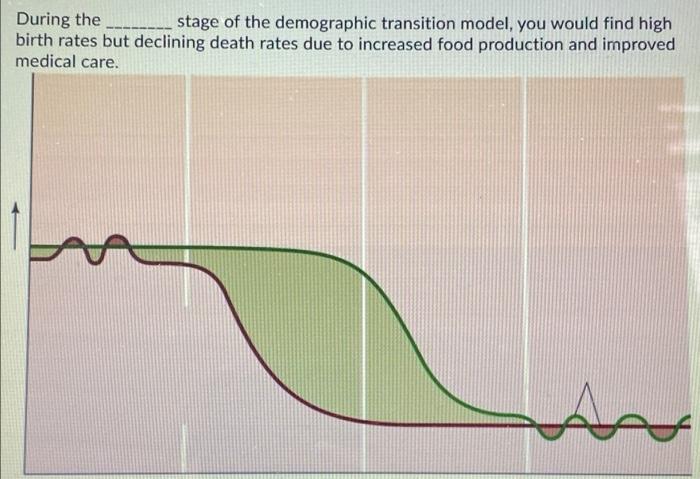 Solved During the stage of the demographic transition model, | Chegg.com