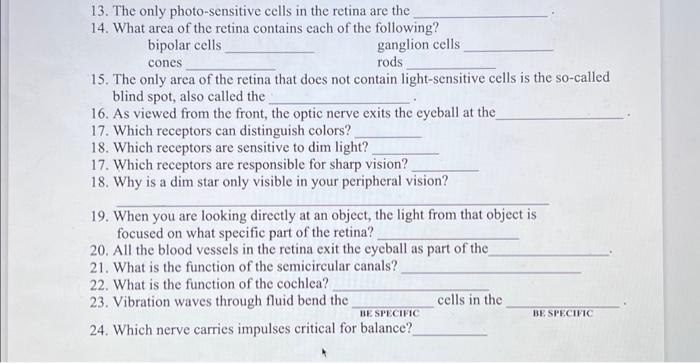 Solved 06 HOMEWORK NERVOUS SYSTEM - SENSES NAME 1. Auditory | Chegg.com