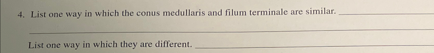 Solved List one way in which the conus medullaris and filum | Chegg.com
