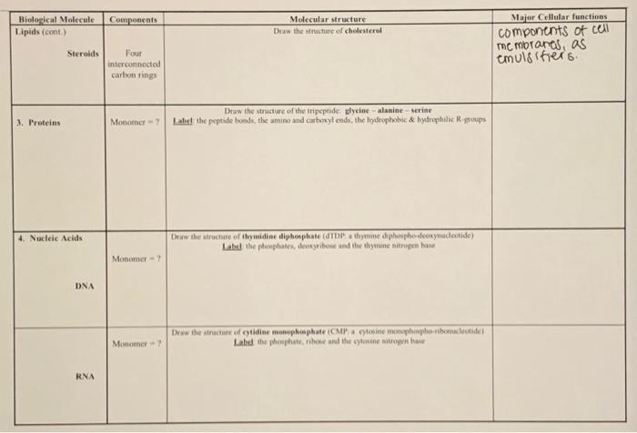 Solved Recognize the structures, and know the major | Chegg.com