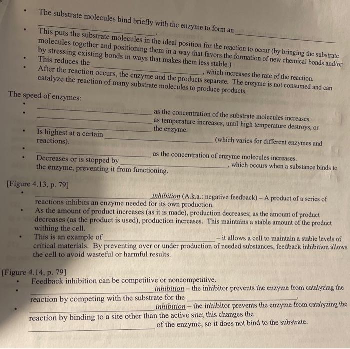 Solved - The substrate molecules bind briefly with the | Chegg.com
