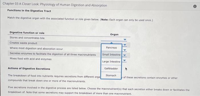 Solved options for the 1st and 2nd picturesEsophagus, | Chegg.com