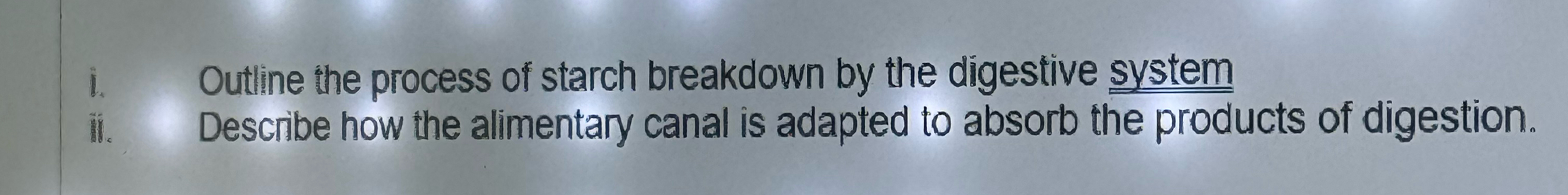 Solved i. ﻿Outline the process of starch breakdown by the | Chegg.com