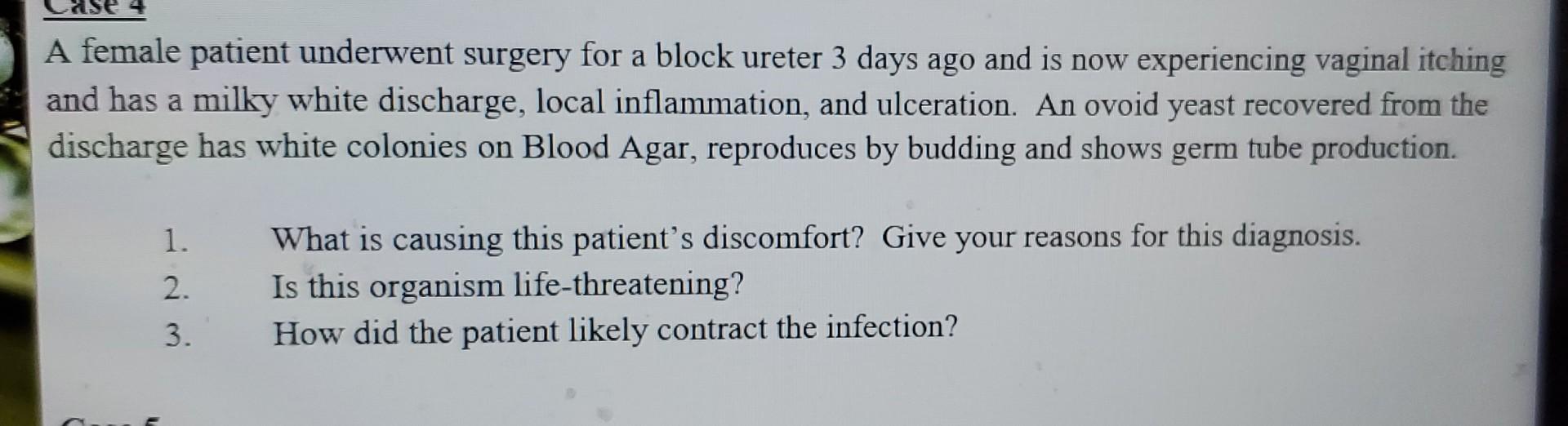 Solved A female patient underwent surgery for a block ureter | Chegg.com