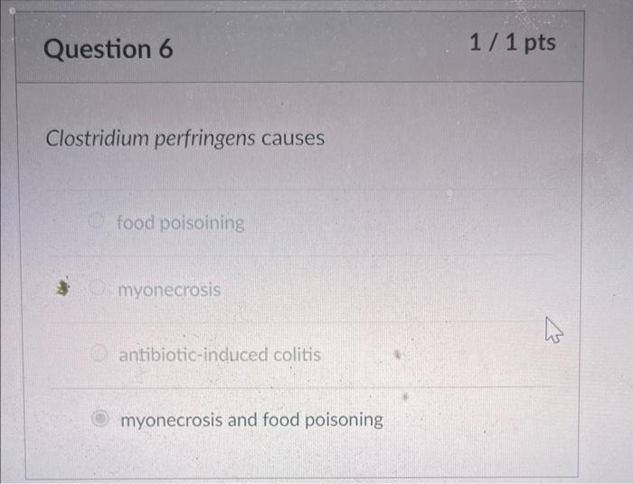 Solved i already have the correct answers, please provide an | Chegg.com
