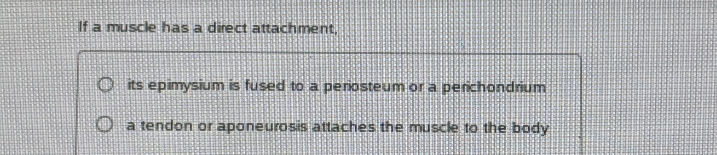 Solved If a muscle has a direct attachment,its epimysium is | Chegg.com