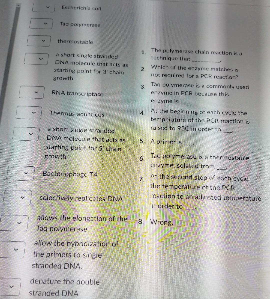 Solved Question 9 (2 points) Why do eukaryotes not have | Chegg.com