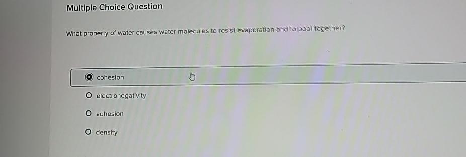 Solved Multiple Choice QuestionWhat property of water causes | Chegg.com