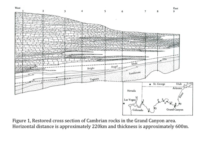 Solved 4) Why do shale beds thin as traced from west to | Chegg.com