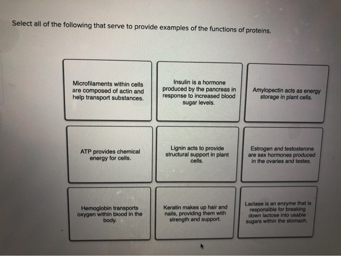 Solved Select all of the following that serve to provide | Chegg.com