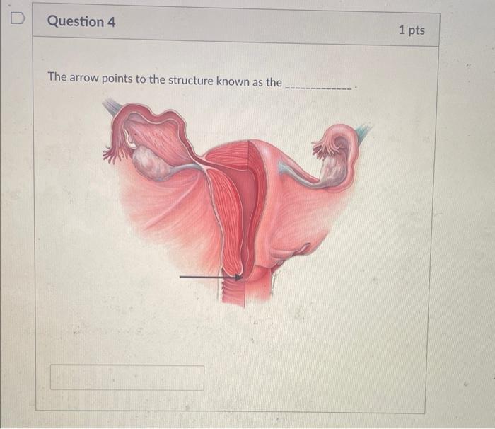 Solved The structure labeled ' 1 ' is anThe structure | Chegg.com