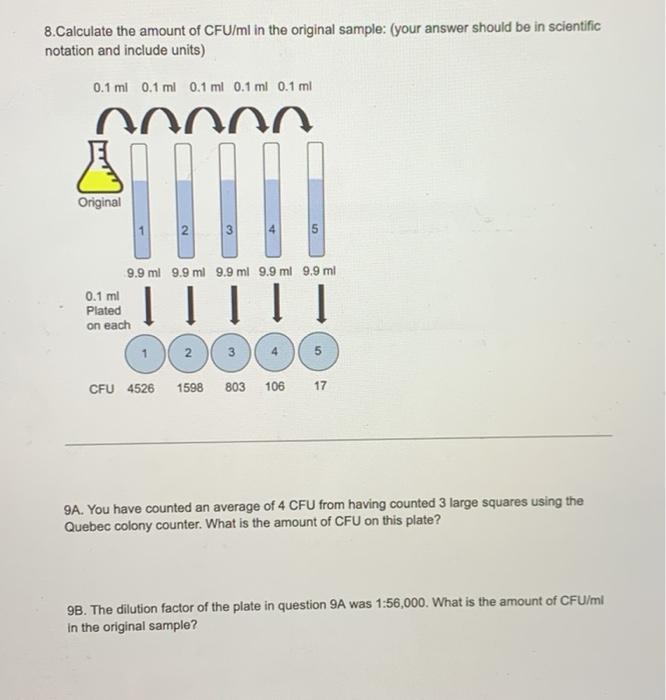 Solved 8.Calculate the amount of CFU/ml in the original | Chegg.com
