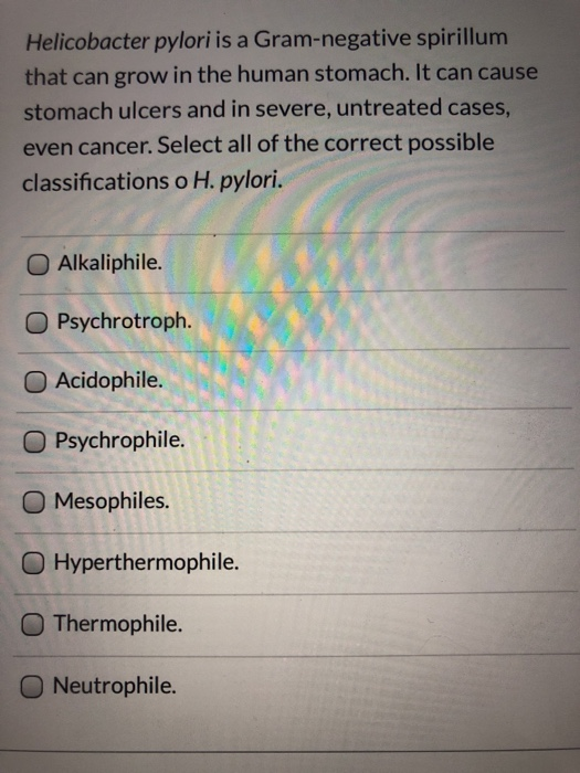 Solved Helicobacter pylori is a Gram-negative spirillum that | Chegg.com