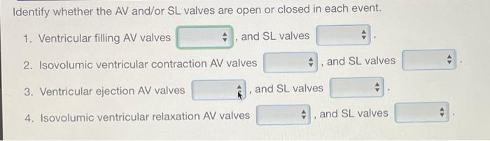 Solved Identify whether the AV and/or SL valves are open or | Chegg.com