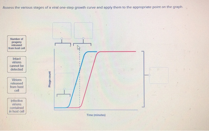 Solved Assess the various stages of a viral one-step growth | Chegg.com