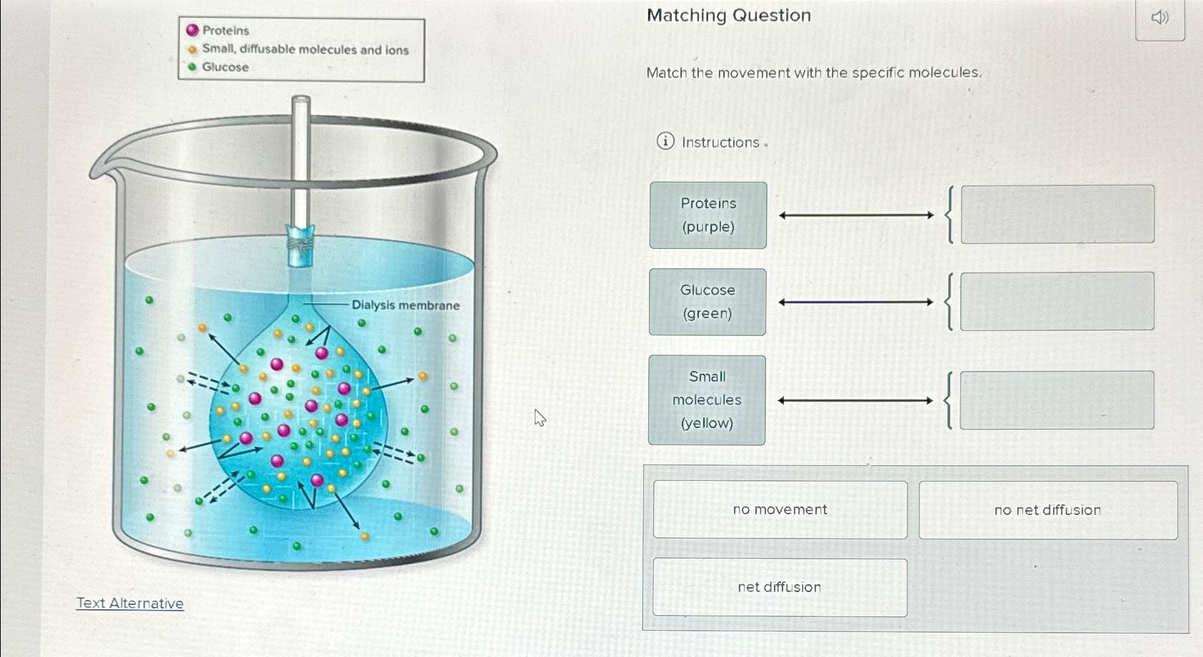 Solved Matching QuestionMatch the movement with the specific | Chegg.com