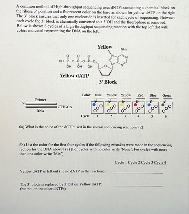 Solved 5a) For each of the transposons, list whether the | Chegg.com