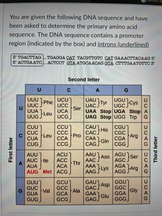 Solved You are given the following DNA sequence and have | Chegg.com