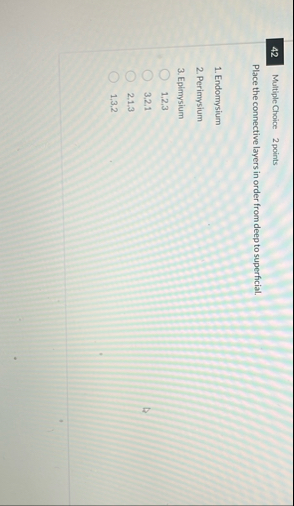 Solved 42Multiple Choice 2 ﻿pointsPlace the connective | Chegg.com