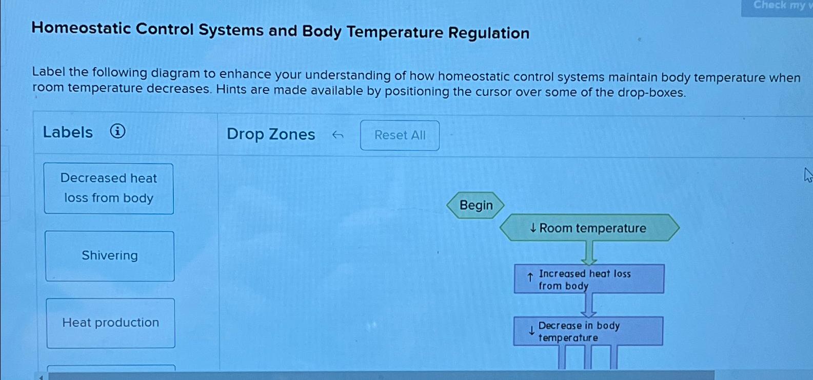 Solved Homeostatic Control Systems and Body Temperature | Chegg.com