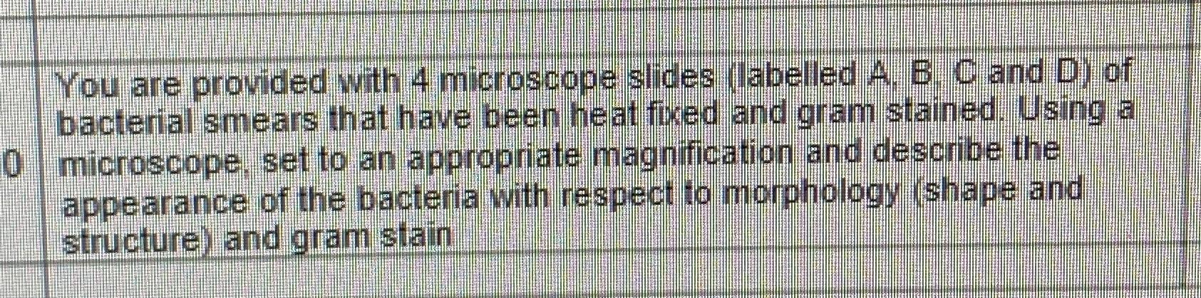 Solved You are provided with 4 ﻿microscope slides (labelled | Chegg.com