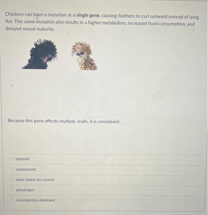 Solved Chickens can have a mutation at a single gene, | Chegg.com