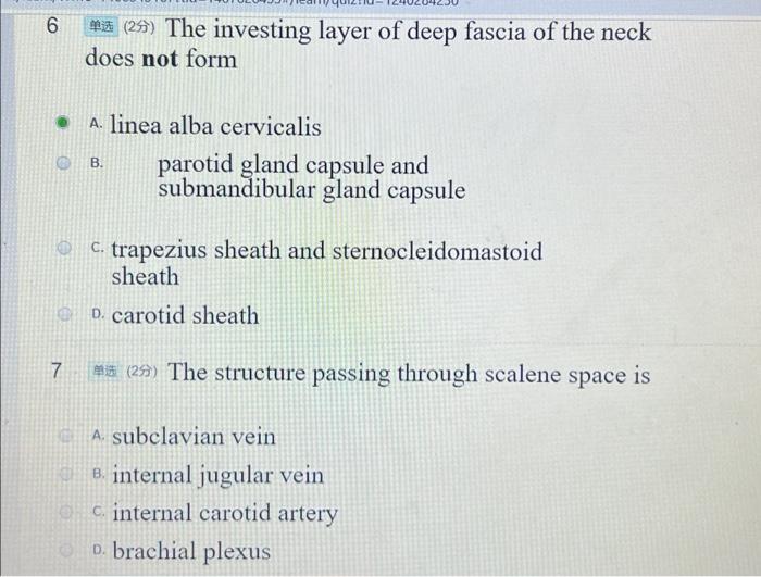Solved 6 48 (255) The investing layer of deep fascia of the | Chegg.com