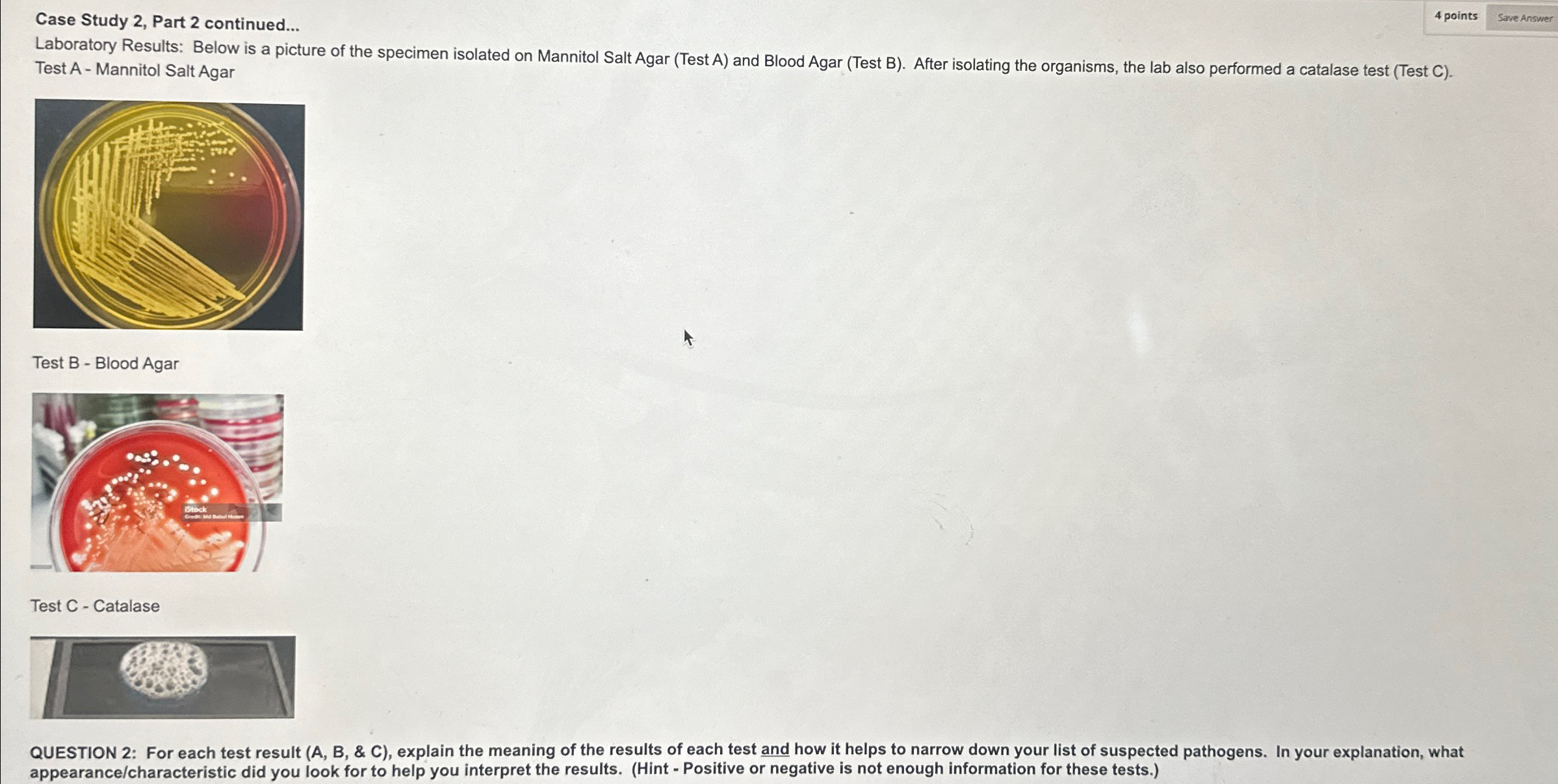 Solved Case Study 2, ﻿Part 2 ﻿continued...Laboratory | Chegg.com