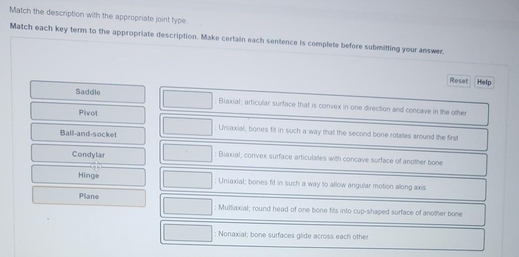 Solved Match the description with the appropriate joint type | Chegg.com