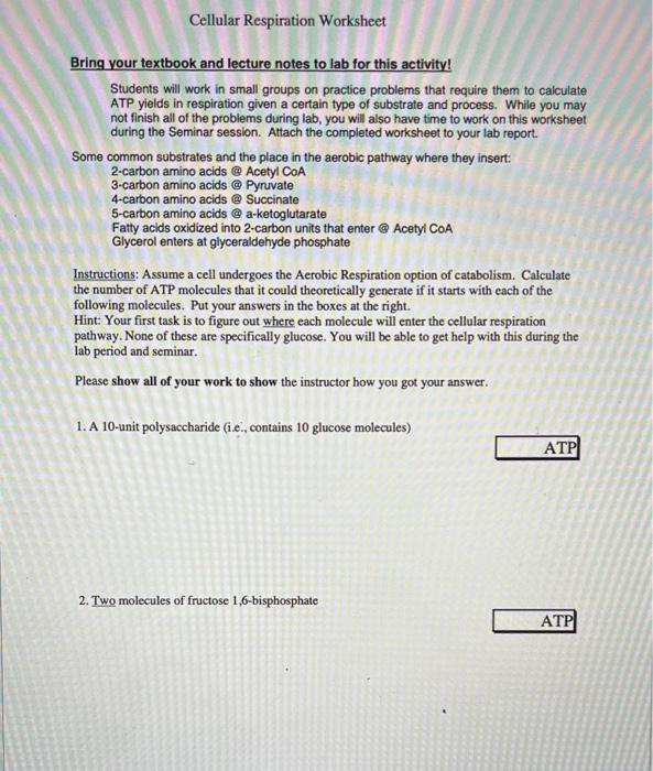 Solved Bring your textbook and lecture notes to lab for this | Chegg.com