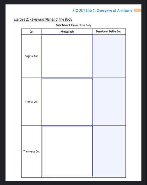 Solved BIO 201 Lab 1, Overview of Anatomy TORSO MODEL: Take | Chegg.com