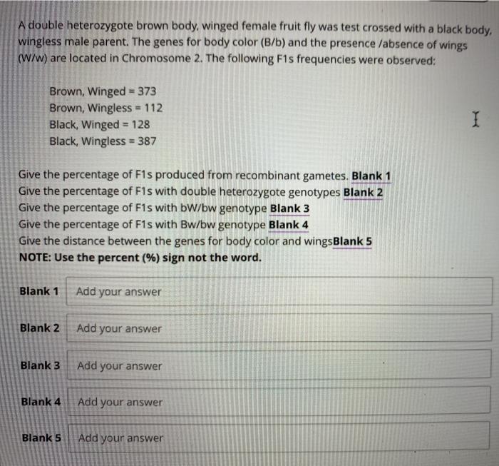 Solved A Double Heterozygote Brown Body Winged Female Fruit 8151