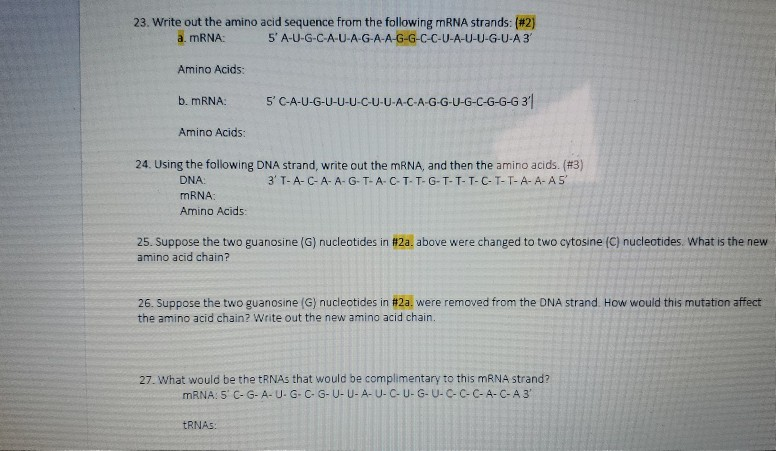 Solved 23. Write out the amino acid sequence from the | Chegg.com
