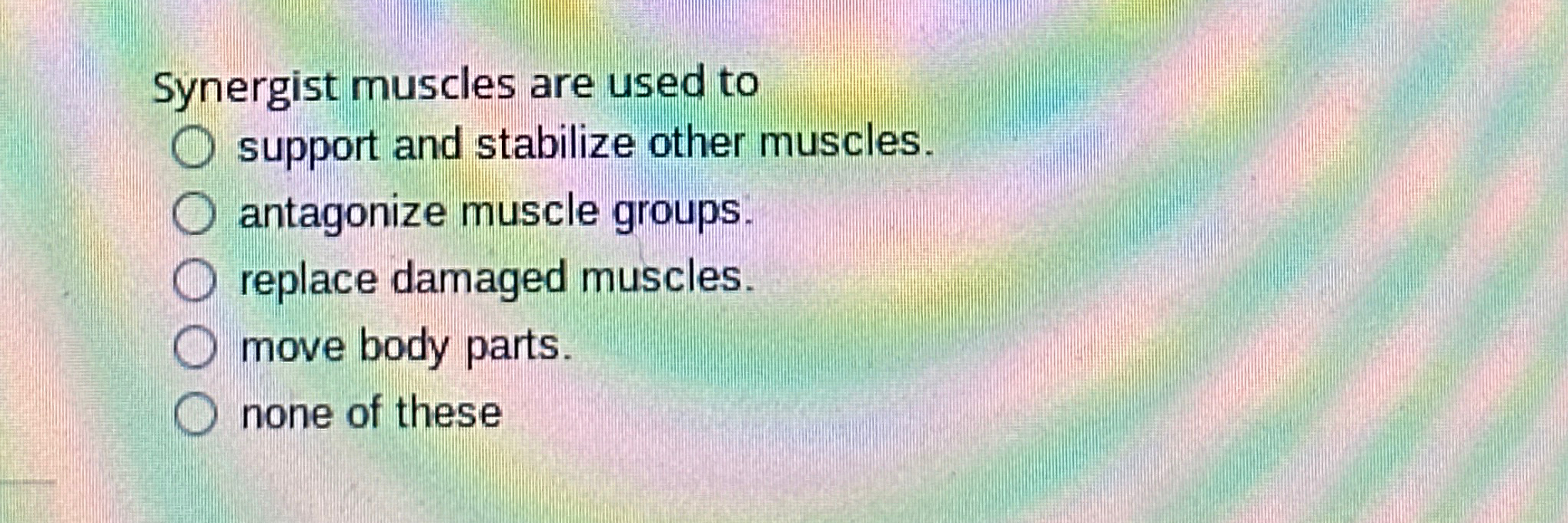 Solved Synergist muscles are used to support and stabilize | Chegg.com