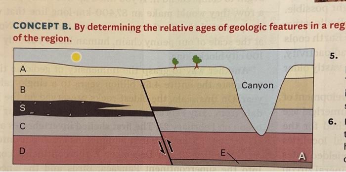 Solved List and describe the succession of geologic event | Chegg.com