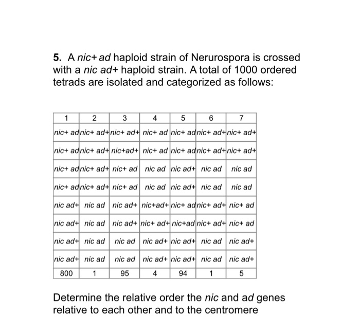 Solved 1. In Drosophila, Dichaete (D) is a mutation on | Chegg.com